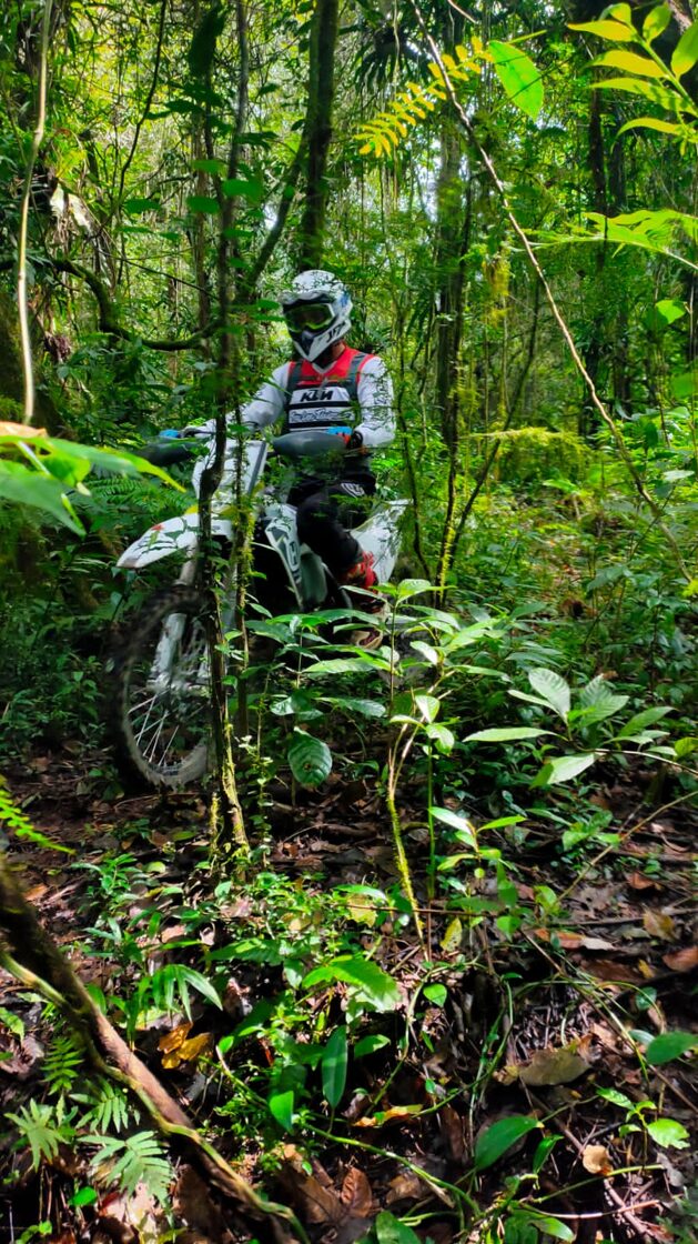 Dirt Bike Tabanan Jungle, Half-Day Track - Half-day Tours (21 ...