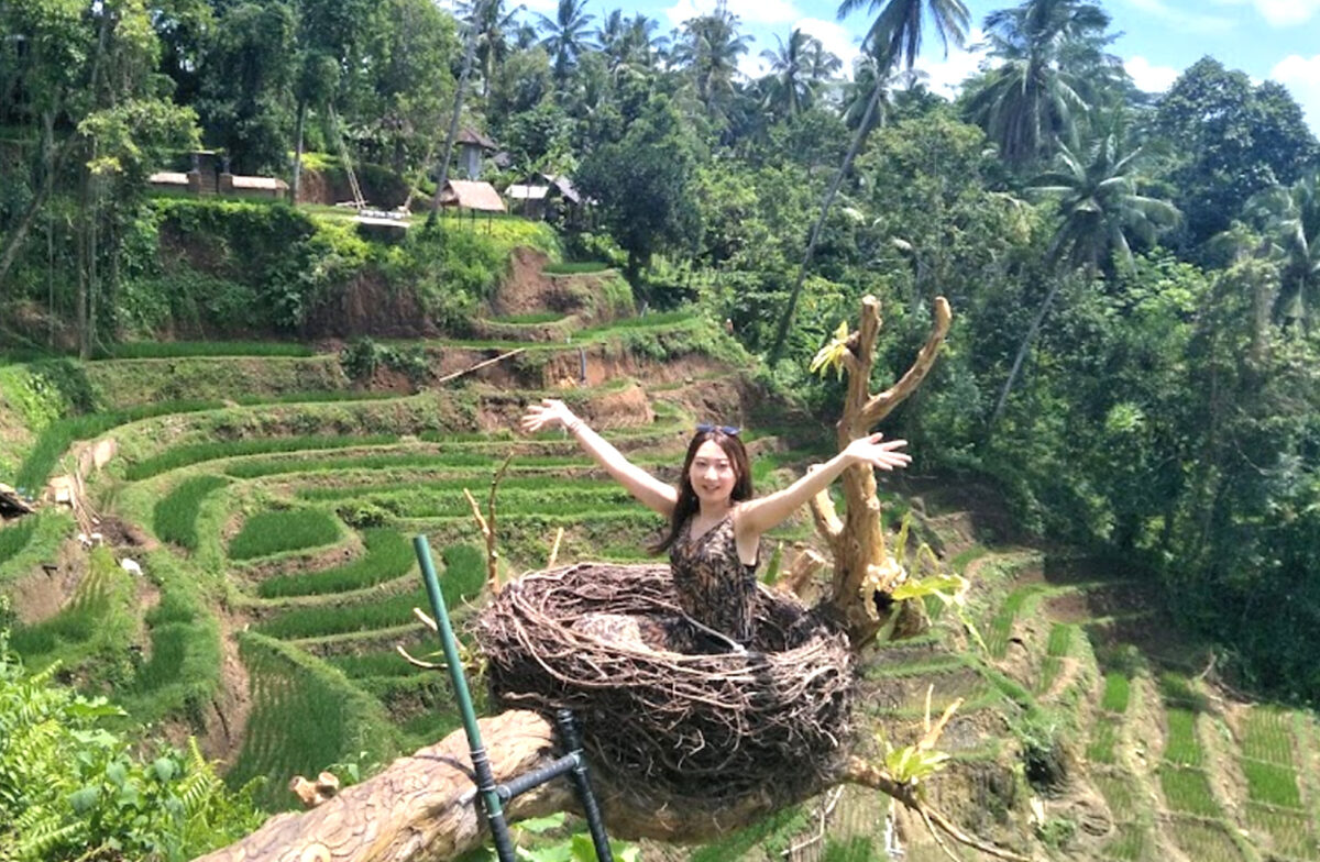 Ubud Swings & Stunning Instagramable Tour - Half-day Tours (21 ...